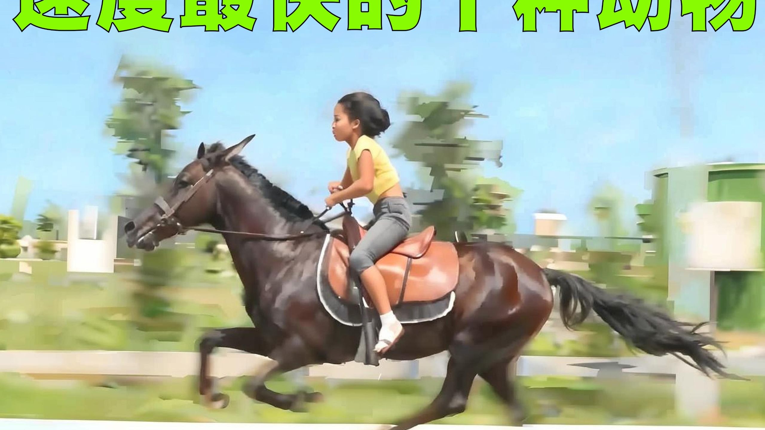 速度最快的10种动物排行榜,骑马的小孩也太帅了!