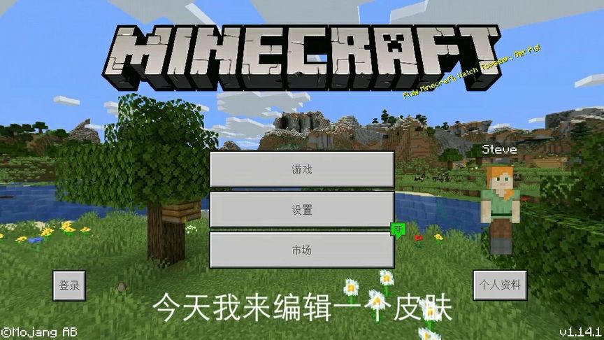 我的世界:我的皮肤帅不?