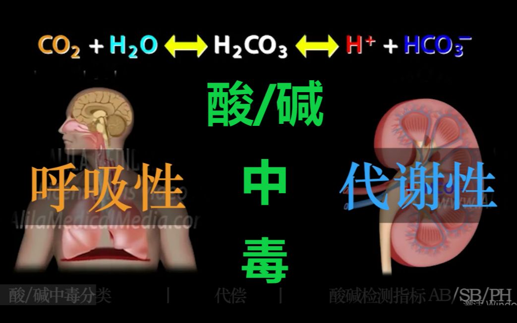...会变成醋坛子嘛?啥是代偿?代谢性vs呼吸性酸中毒?AB,SB等衡量指标