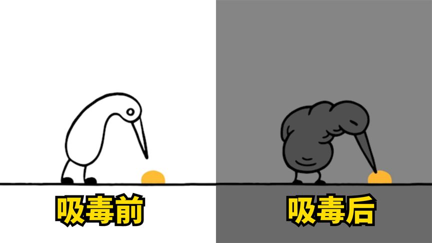 吸毒有多可怕,来看看是怎么上瘾的,拒绝毒品,从我做起