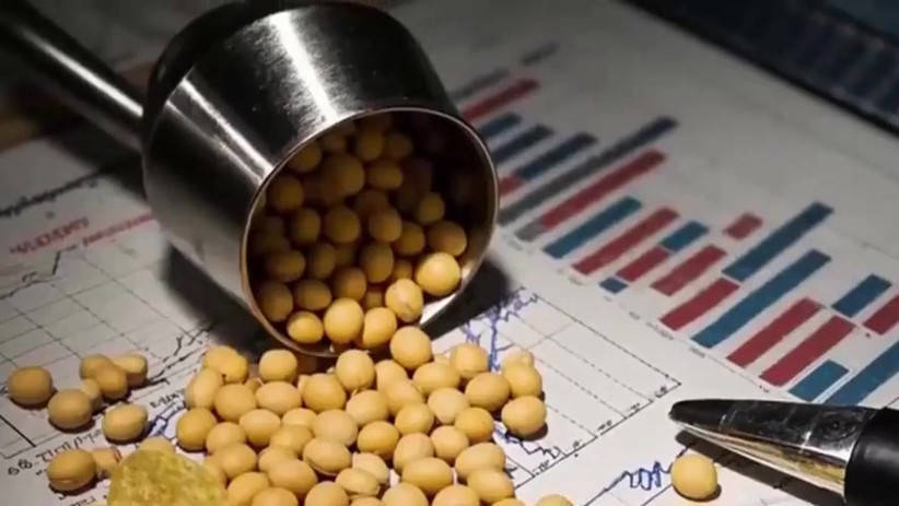 牧原股份(002714.SZ):今年以来,公司的豆粕用量占比在7%左右