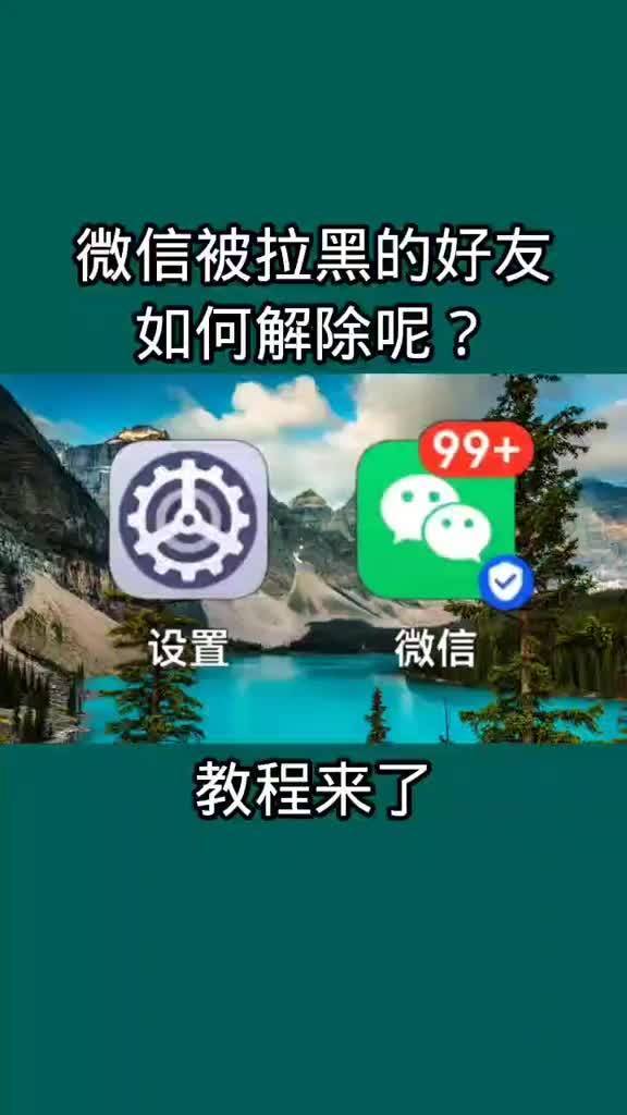 微信被拉黑的好友如何解除呢?