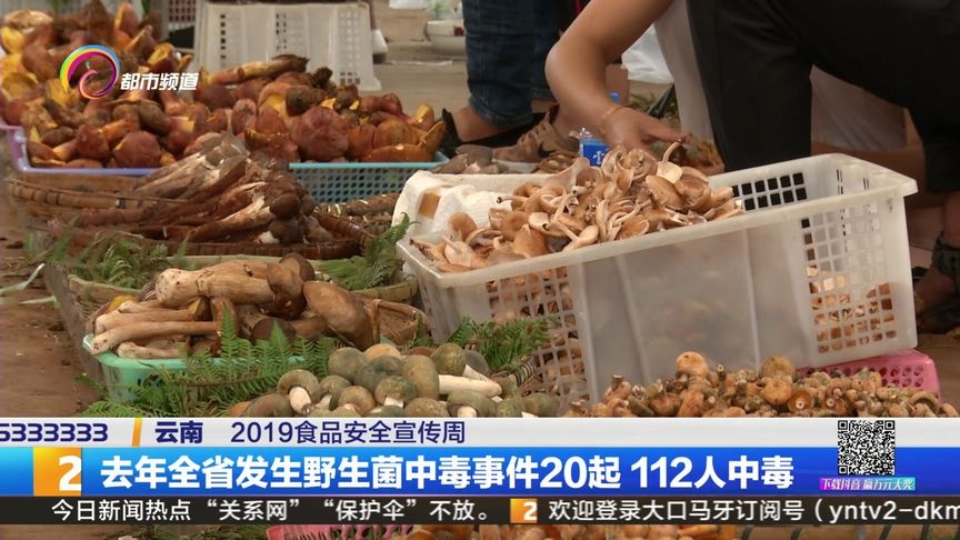 2018年,云南省发生野生菌中毒20起,112人中毒,食品安全引重视