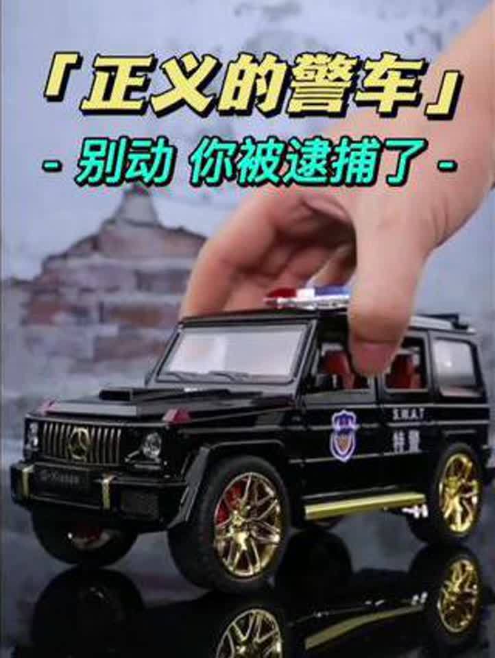 不许动,你被逮捕了!警车出动!#玩具车#汽车模型 #警车 #是好车
