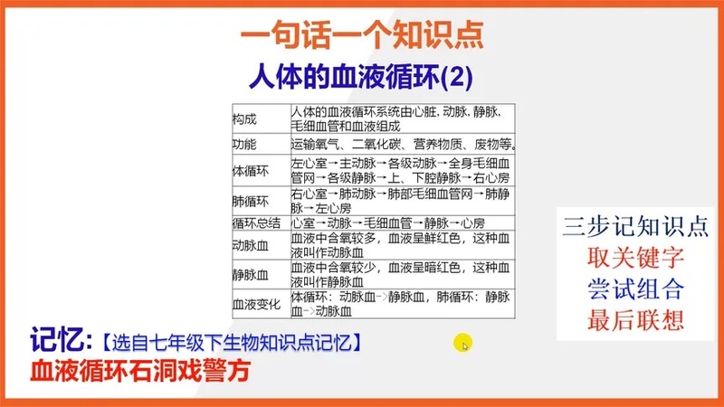 七年级下册生物知识点记忆 人体的血液循环(2)