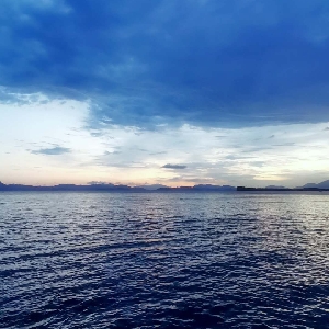 尔风难火 