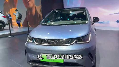 比亚迪海豚跌至7.98万!现在入手是捡漏还是入坑?