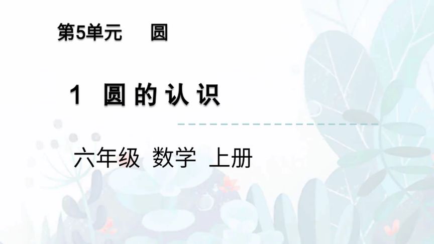 数学六年级上册第五单元第1课时圆的认识