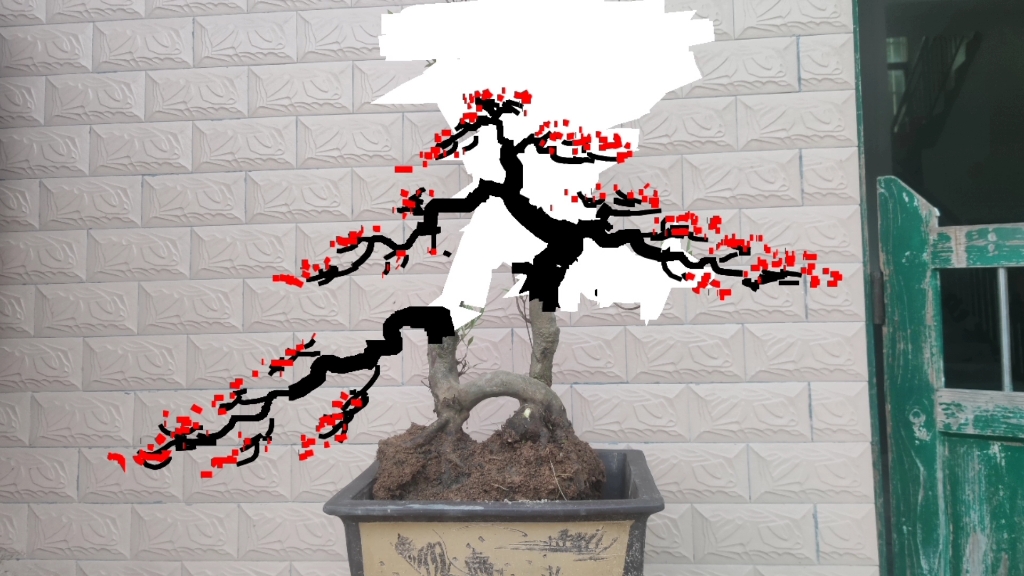 盆景造型与设计(第二十七期)