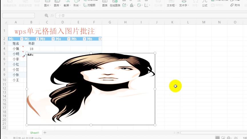 批注还能这样玩!WPS单元格插入漂亮的图片批注