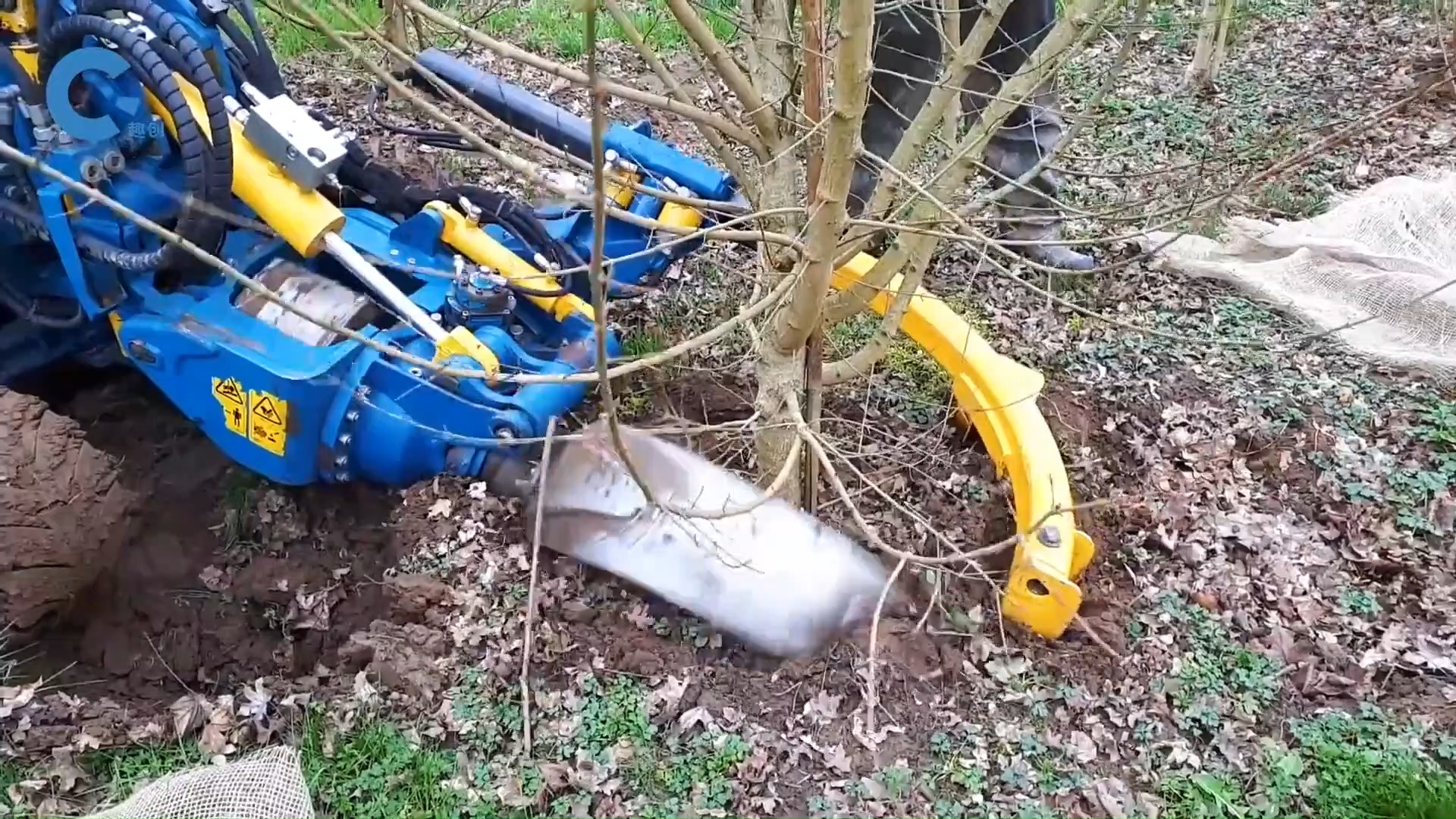 ...树木连根拔起 #挖树机 #挖树 #机械化 #林业机械 #农业机械 #园林机械