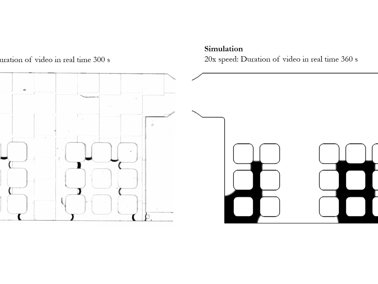 多孔介质的对流干燥: 微流体实验相场模拟的实验比较