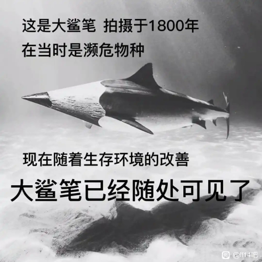 猪老枝 