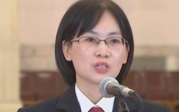 广东法官彭秋香亮相“党代表通道”:让司法改革在山区跑出加速度