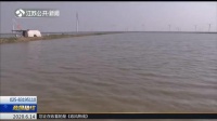 连云港灌云灌西投资公司鱼塘发包暗标变明标 违法串标