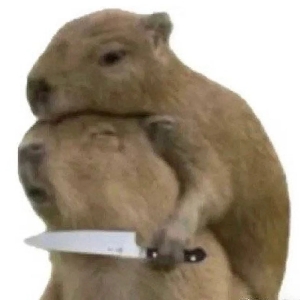 不是白嫖怪欸 