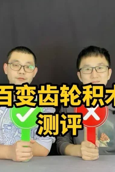 这个百变齿轮积木看着挺好玩呀!