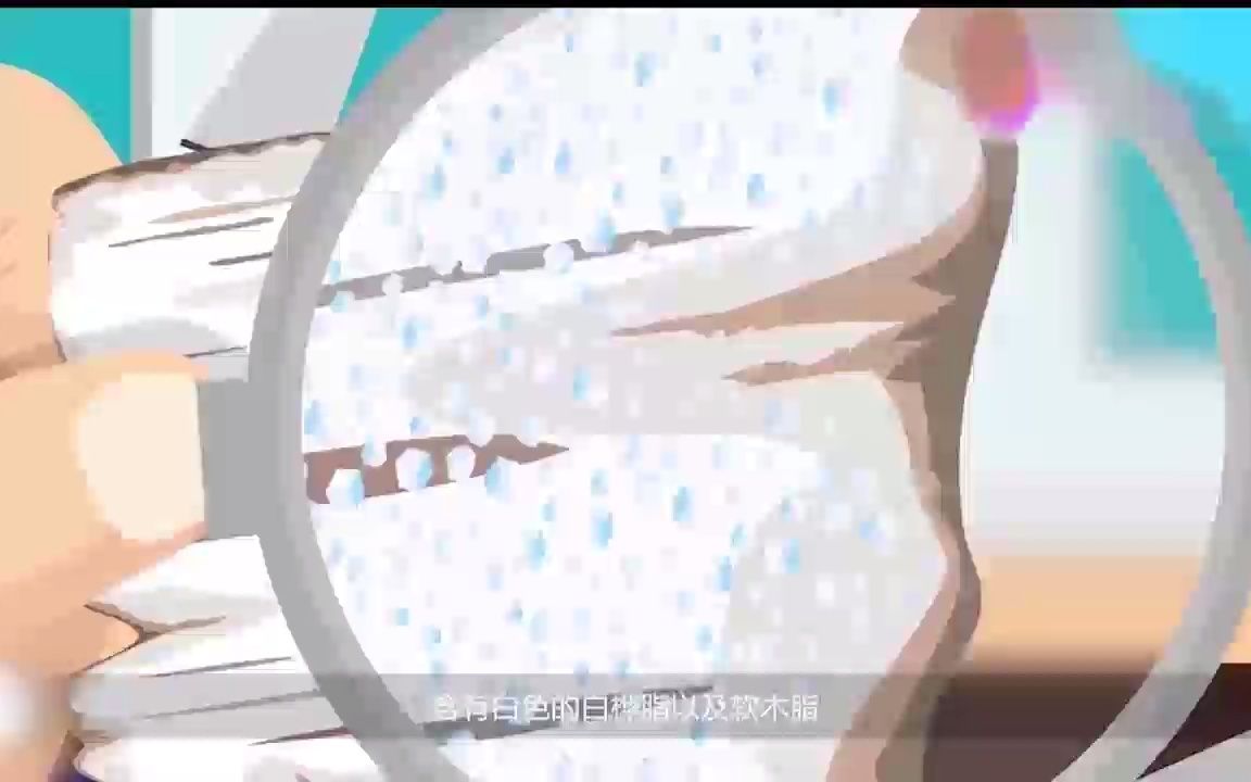 为什么白桦树皮是白色的