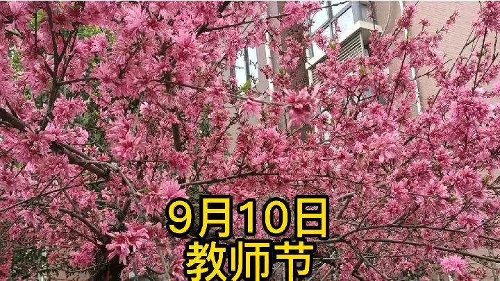 教师节9月10日尊师重教是传统