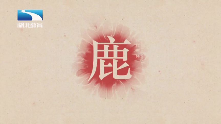 汉字解密|小朋友看鹿字演变,记象字笔顺,别发倒笔呦。