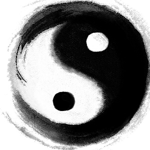 识风知音 