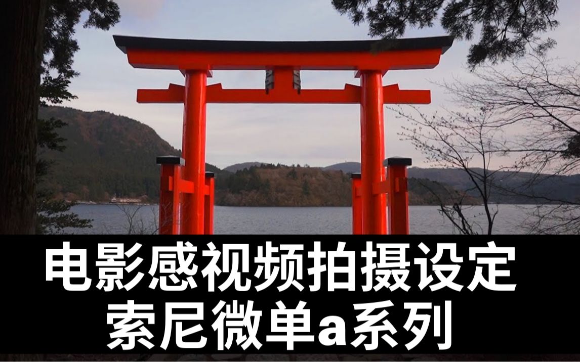 【摄影教程】索尼微单a系列-最好的视频拍摄设定(无字幕)