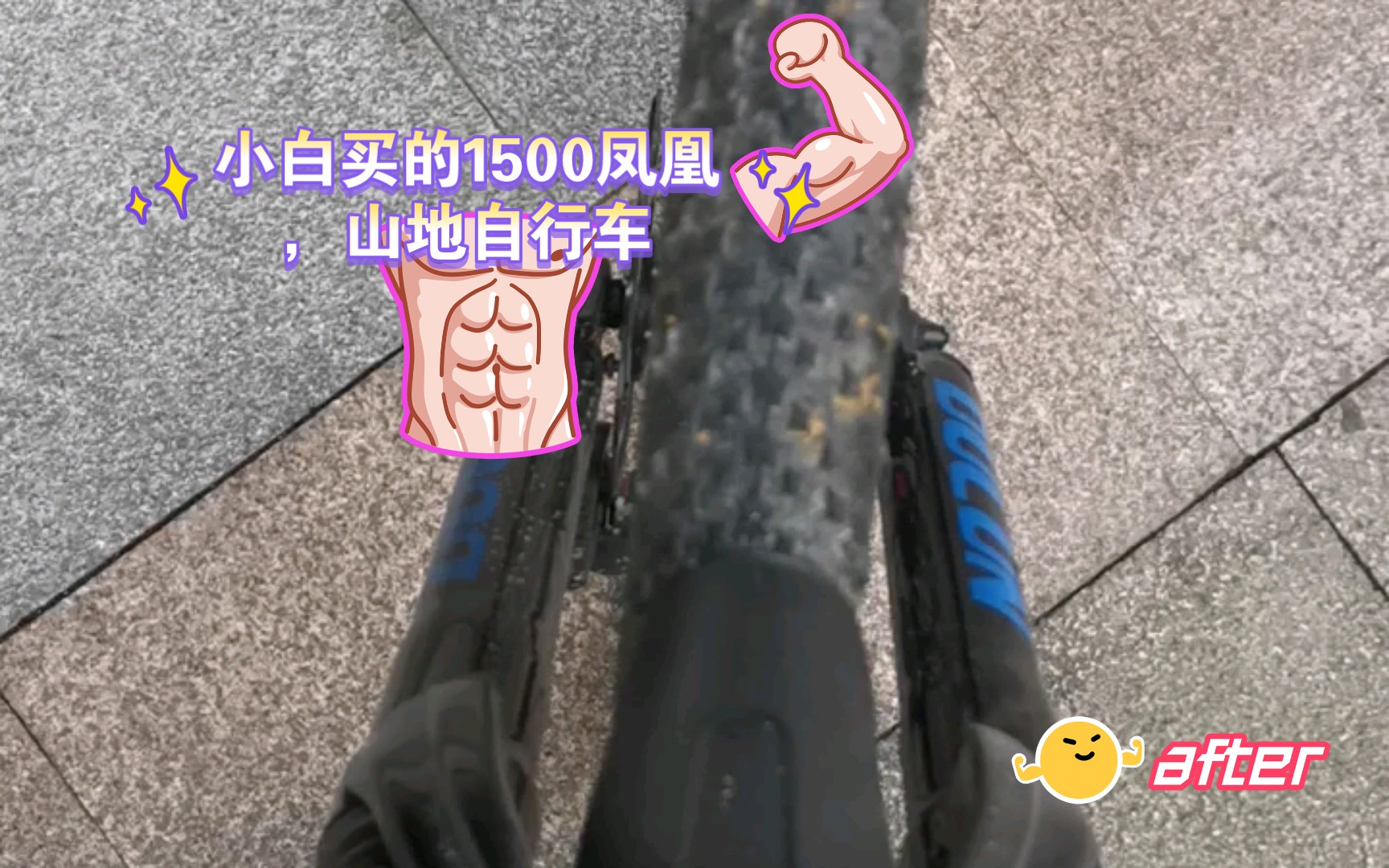 小白买的1500凤凰,山地自行车,大佬,帮忙看一下