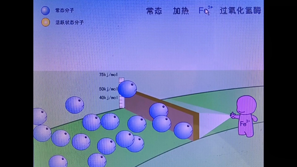 比较过氧化氢在不同条件下的分解