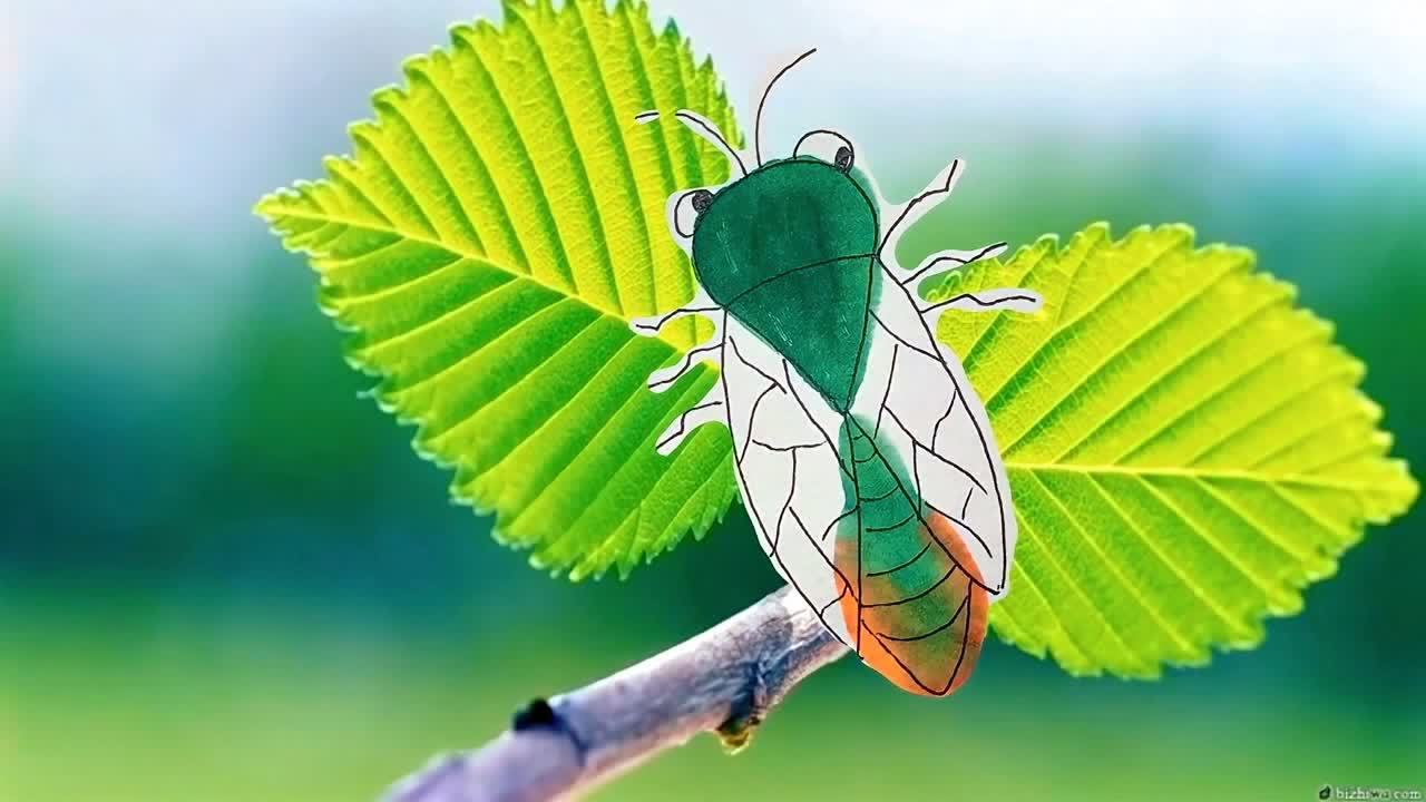 儿童简笔画《知了》知了声声叫着夏天!