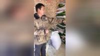 双胞胎饲料 不怕比 比不怕 怕不比