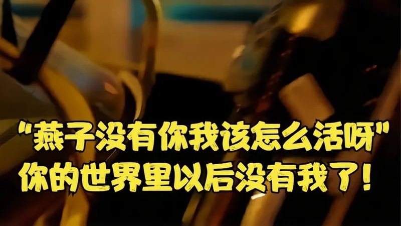 "燕子没有你我该怎么活呀"你的世界里以后没有我了!