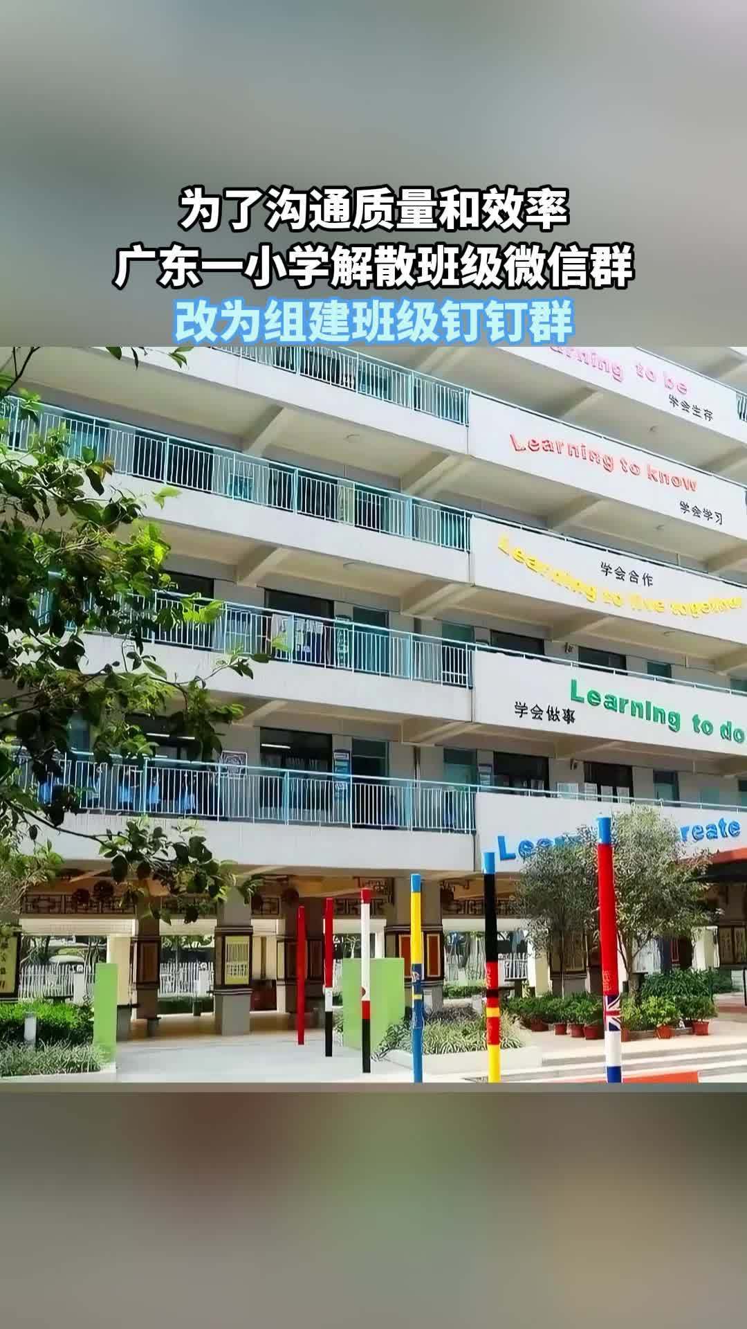 为了沟通质量和效率,一小学解散班级微信群,改为组建班级钉钉群