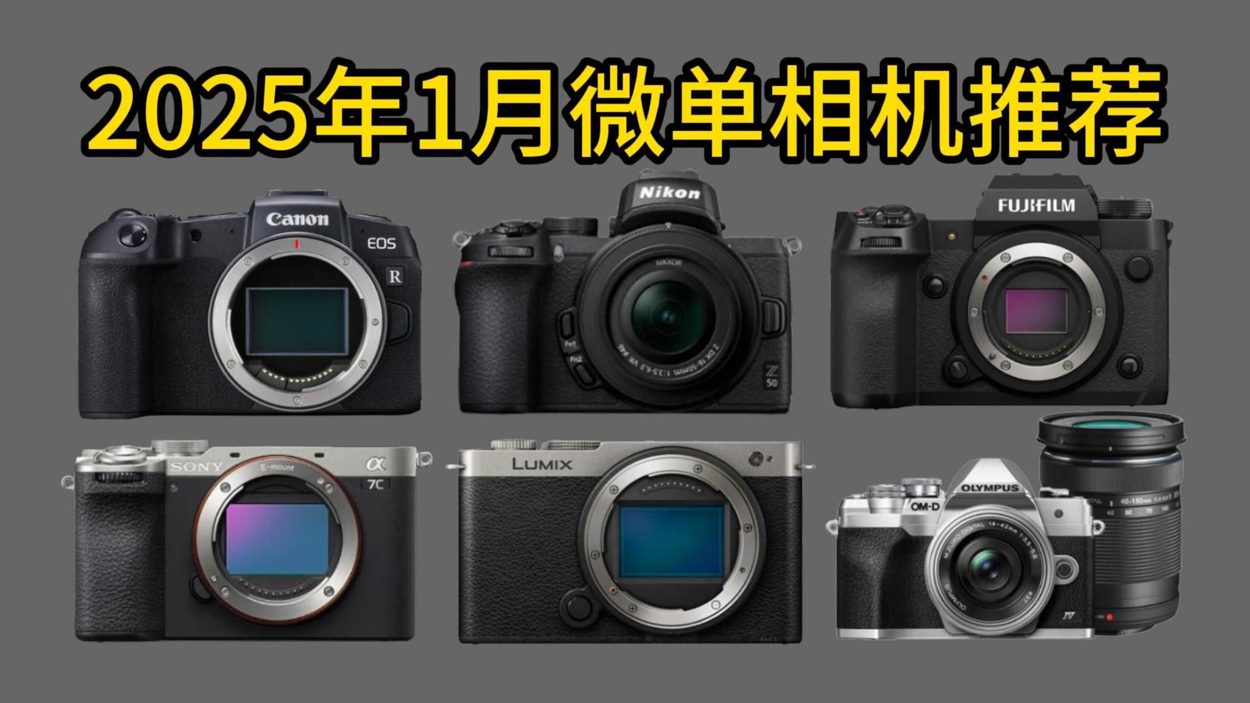 2025年1月全画幅/APS-C画幅微单相机推荐!索尼、渣能、尼康、松下...
