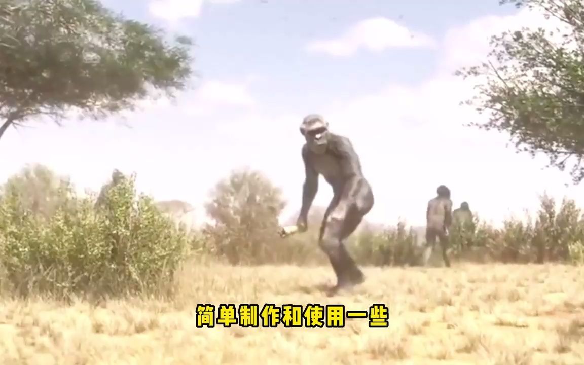 人类是怎么进化来的 ,人类的进化史