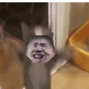 美美的ikun 
