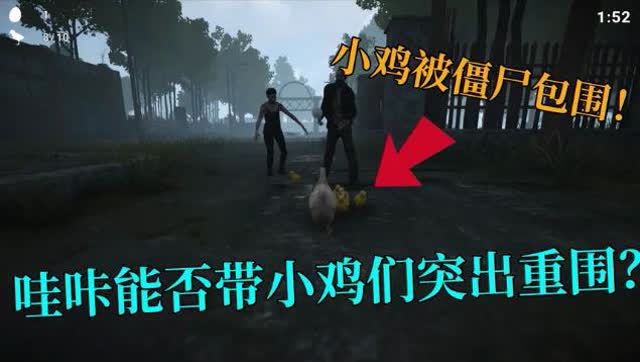 母鸡模拟器小鸡被僵尸包围母鸡哇咔能否带.
