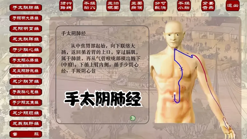 十四经络之手太阴肺经