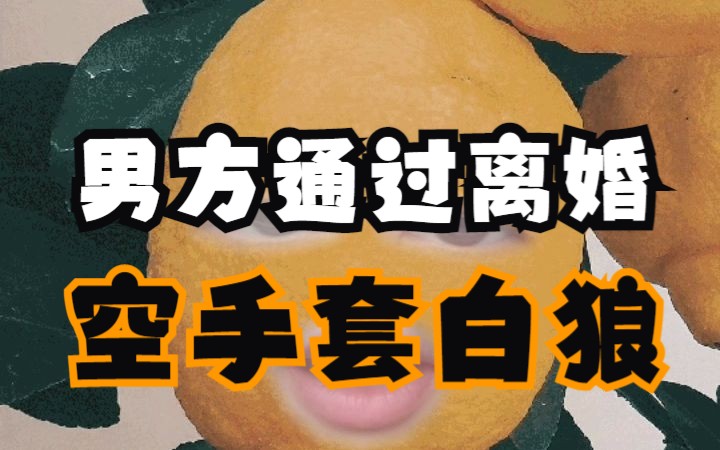 【龙飞律师书籍笔记】警惕!男方通过离婚空手套白狼的案例