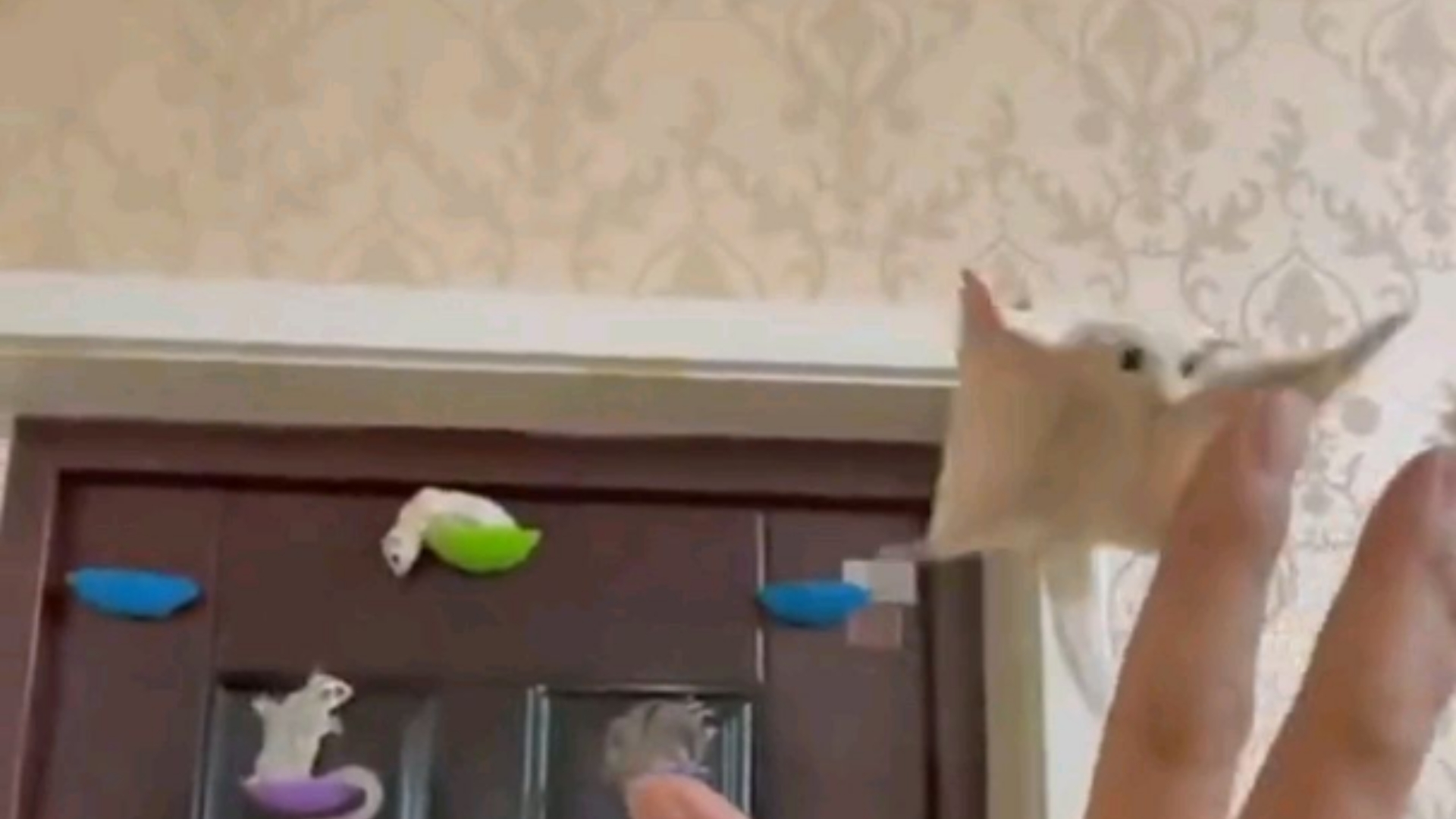 激光制导 精准着陆