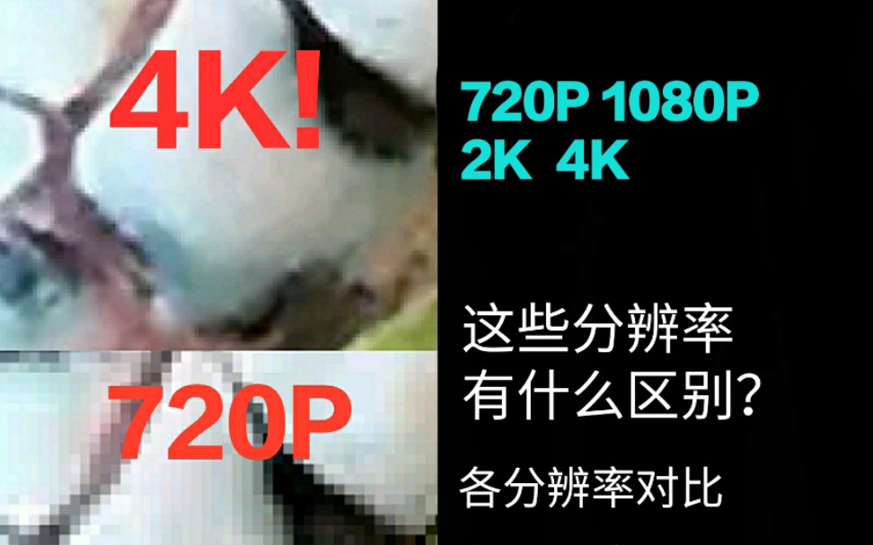 【分辨率对比】不同分辨率有何区别?显示器分辨率真的重要吗?