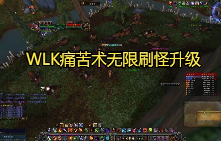 魔兽世界WLK一身破烂痛苦术新手无限刷怪