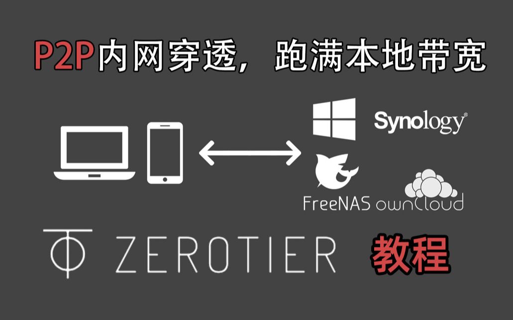 [教程]免费高速P2P内网穿透zerotier使用教程