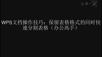 WPS文档操作技巧: 保留表格格式的同时快速分割表格(办公高手)