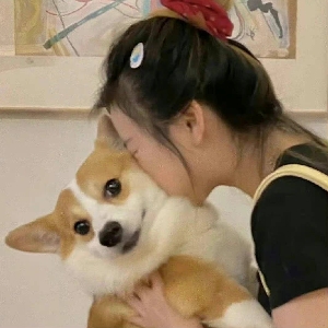 风灵堡司空尧 