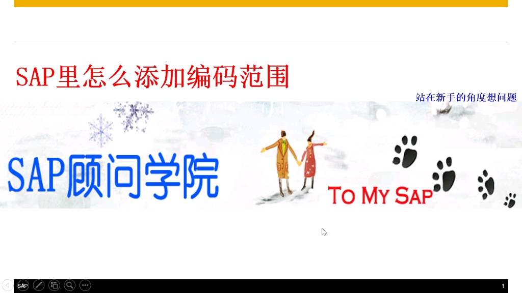 SAP新手需要知道-怎么添加编码范围