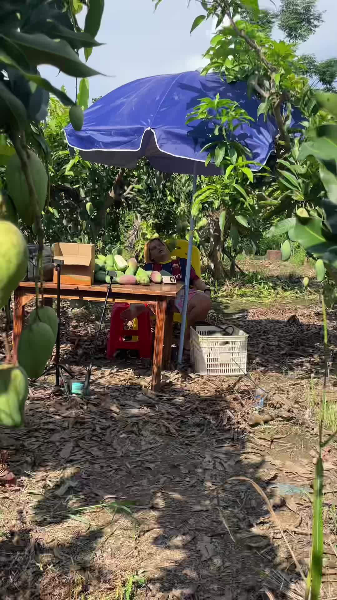 晨曦微露,时针指向6点,我们便开始了一天的忙碌