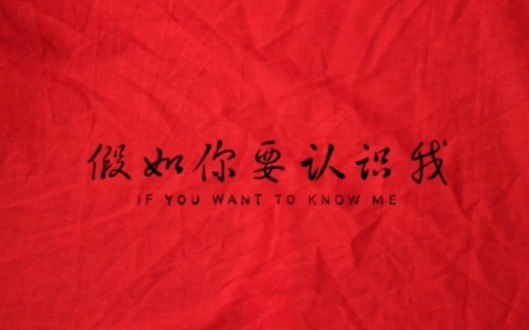 定格剪纸拼贴动画《假如你要认识我》