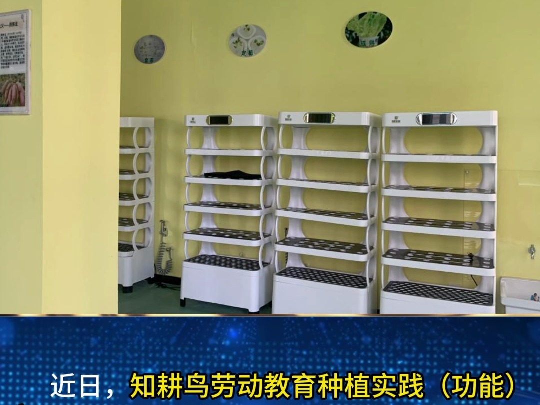 知耕鸟劳动教育种植实践(功能)室落地安徽蚌埠学校