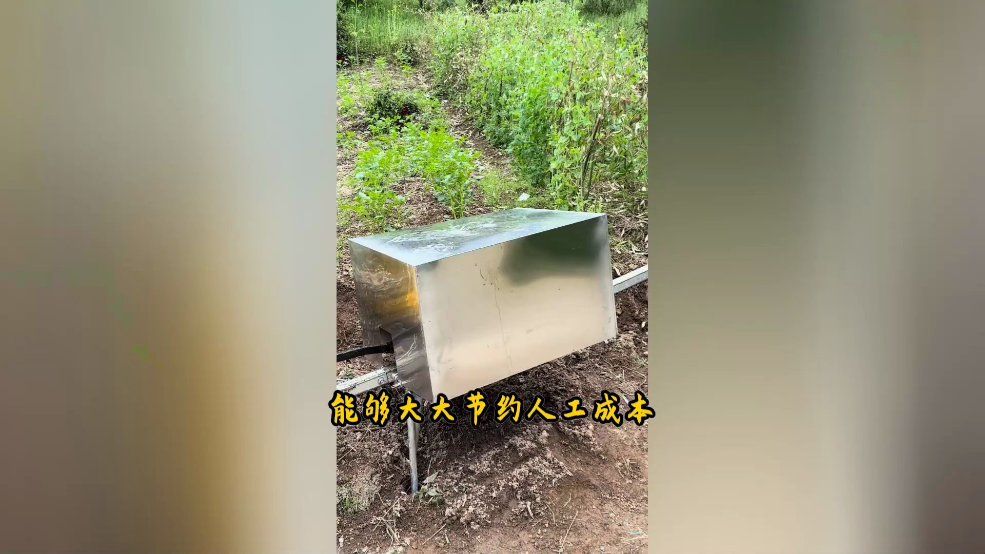 懒汉山地单轨运输机:创新设计,引领山地运输时尚风向