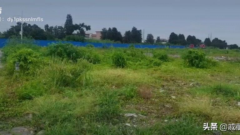 高明杨和一手物流仓储用地面积:300亩,可分证价格:94万/亩